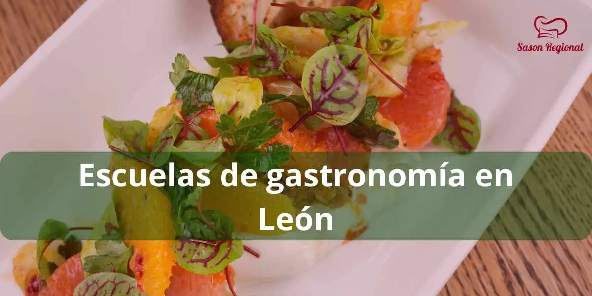 Las Mejores Escuelas De Gastronomía En León Todas Las Universidades E Institutos Sason Regional